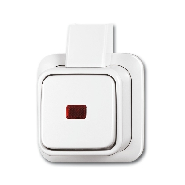 Wisselschakelaar met controlelamp opbouw wit 2601 6 SKAPJW BJ ...
